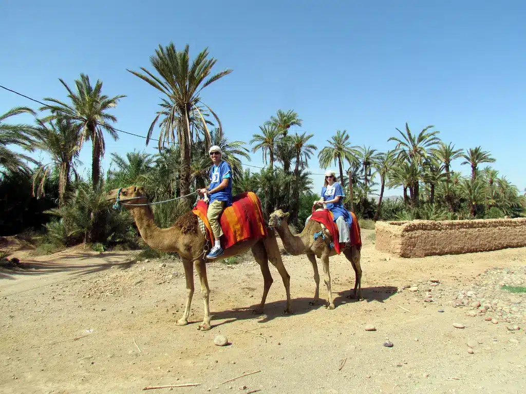Marrakech Palmeraie Camel Ride Experience - Morocco Paths